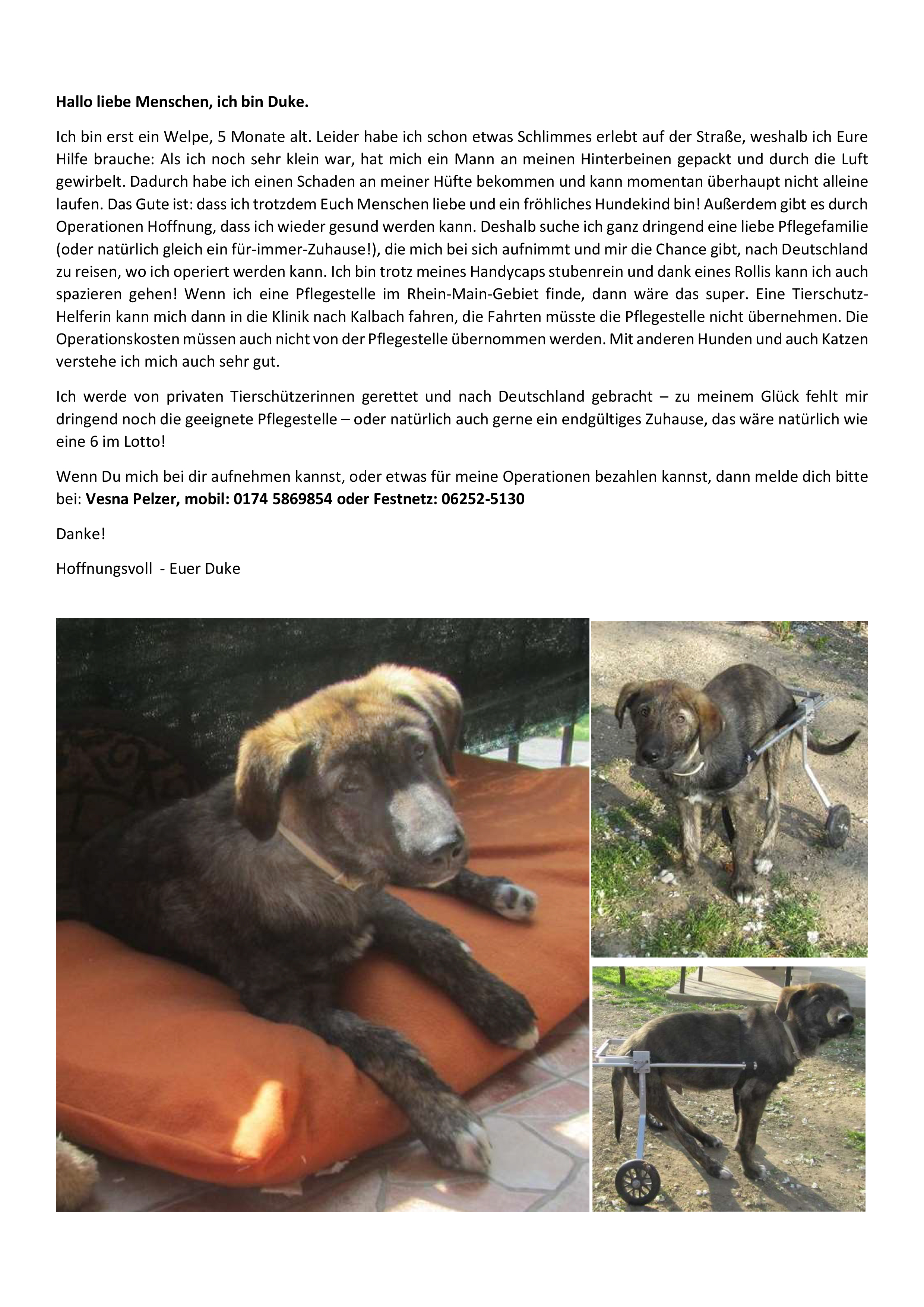 Microsoft Word - Duke - Tier-Rettungs-Dienst-Frankfurt e.V.